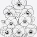 Spring Flowers Coloring Pages | Variety Three | Set of 5 - Etsy