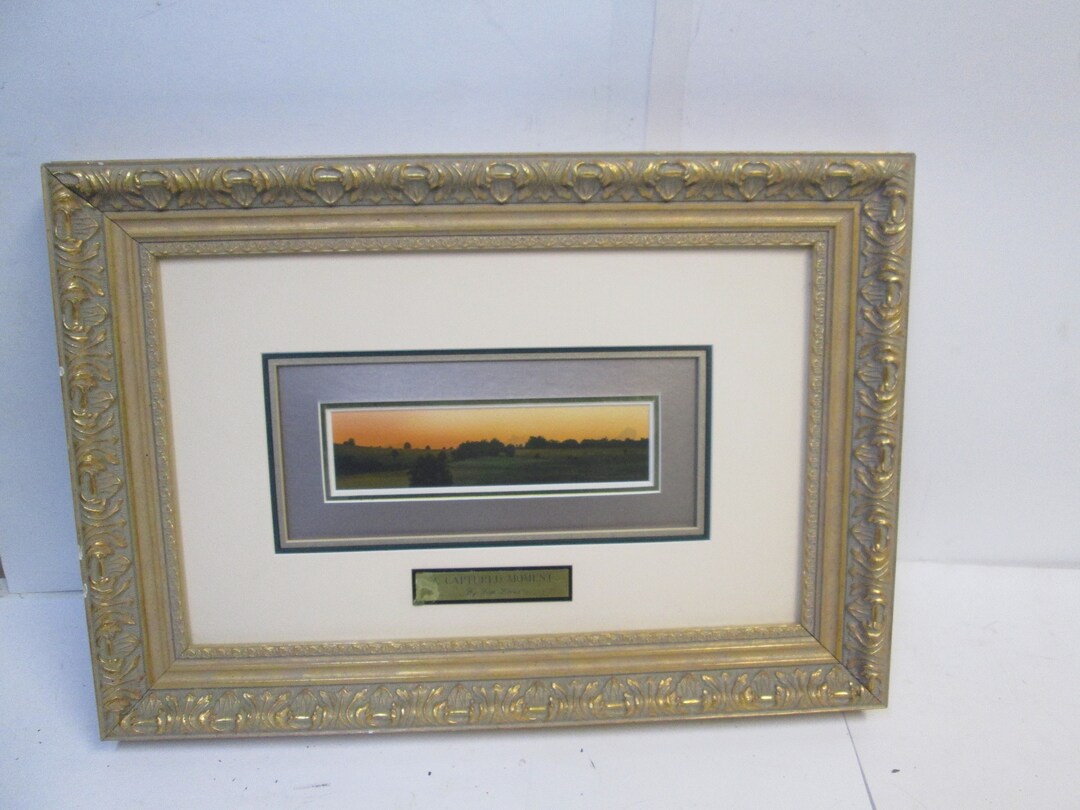 8" X 2" Tim Liess Artist Signed Giclee "captured Moment" Most of His ...