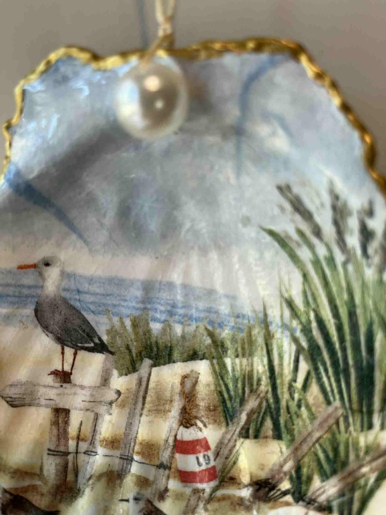Seagull at Beach, Decoupaged Shell, UV Resin - Etsy