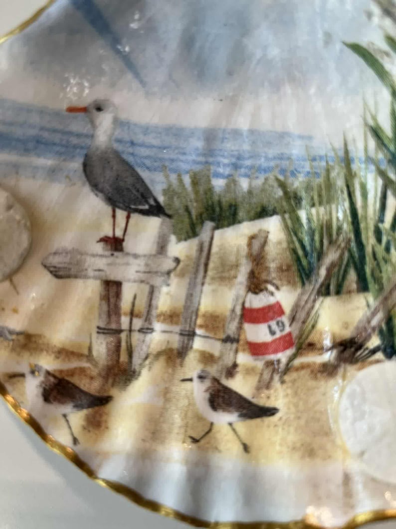 Seagull at Beach, Decoupaged Shell, UV Resin - Etsy