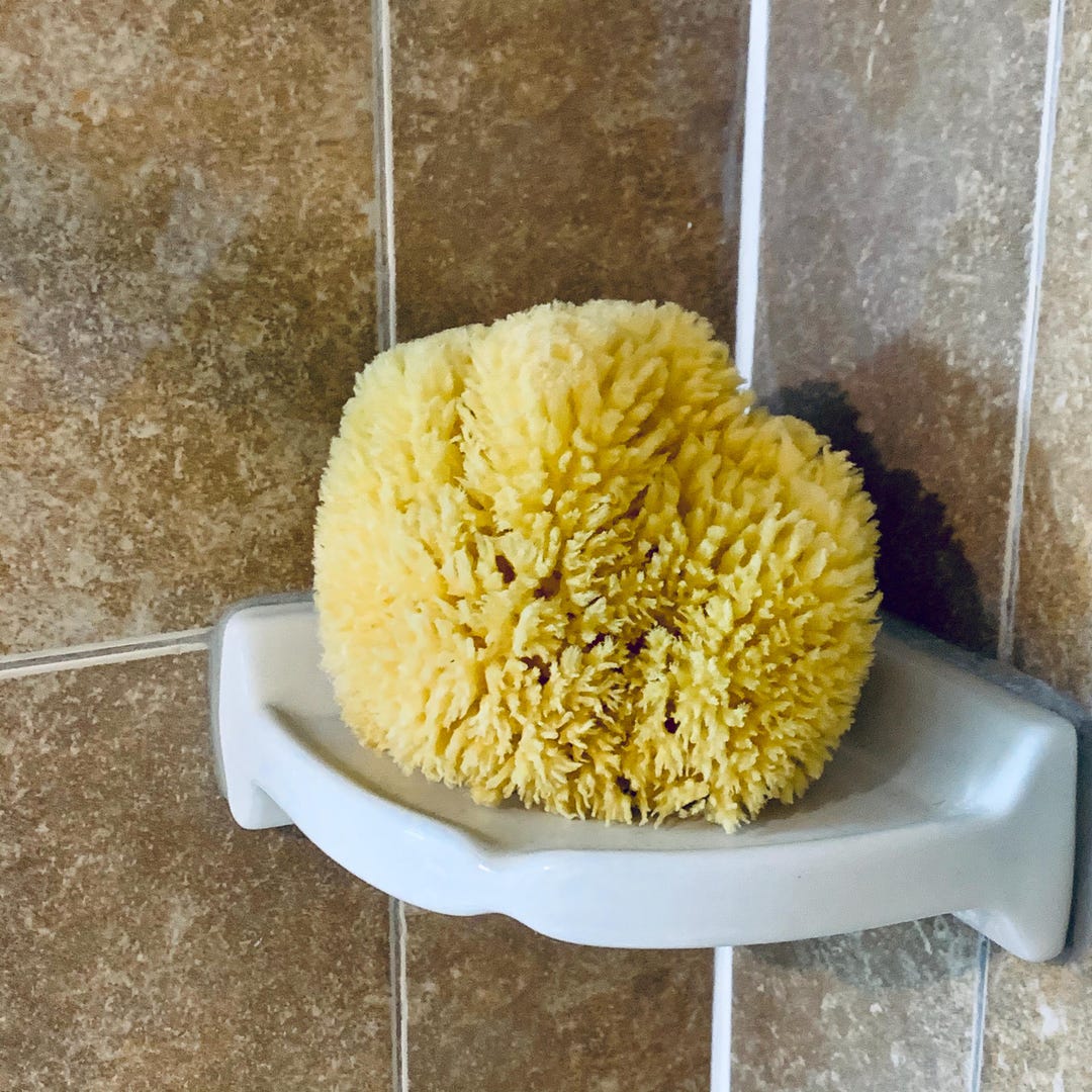 Natural Sea Grass Sponge 5-6" - Etsy