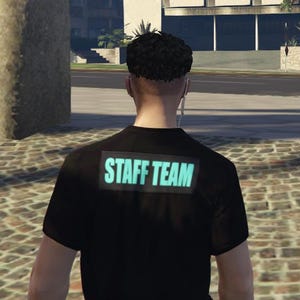 Fivem Staff Vest - Etsy