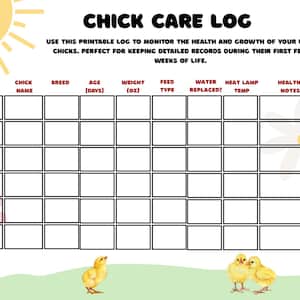 Chicken Raising Log Bundle – 8 Printable Pages | Egg Tracker, Flock ...