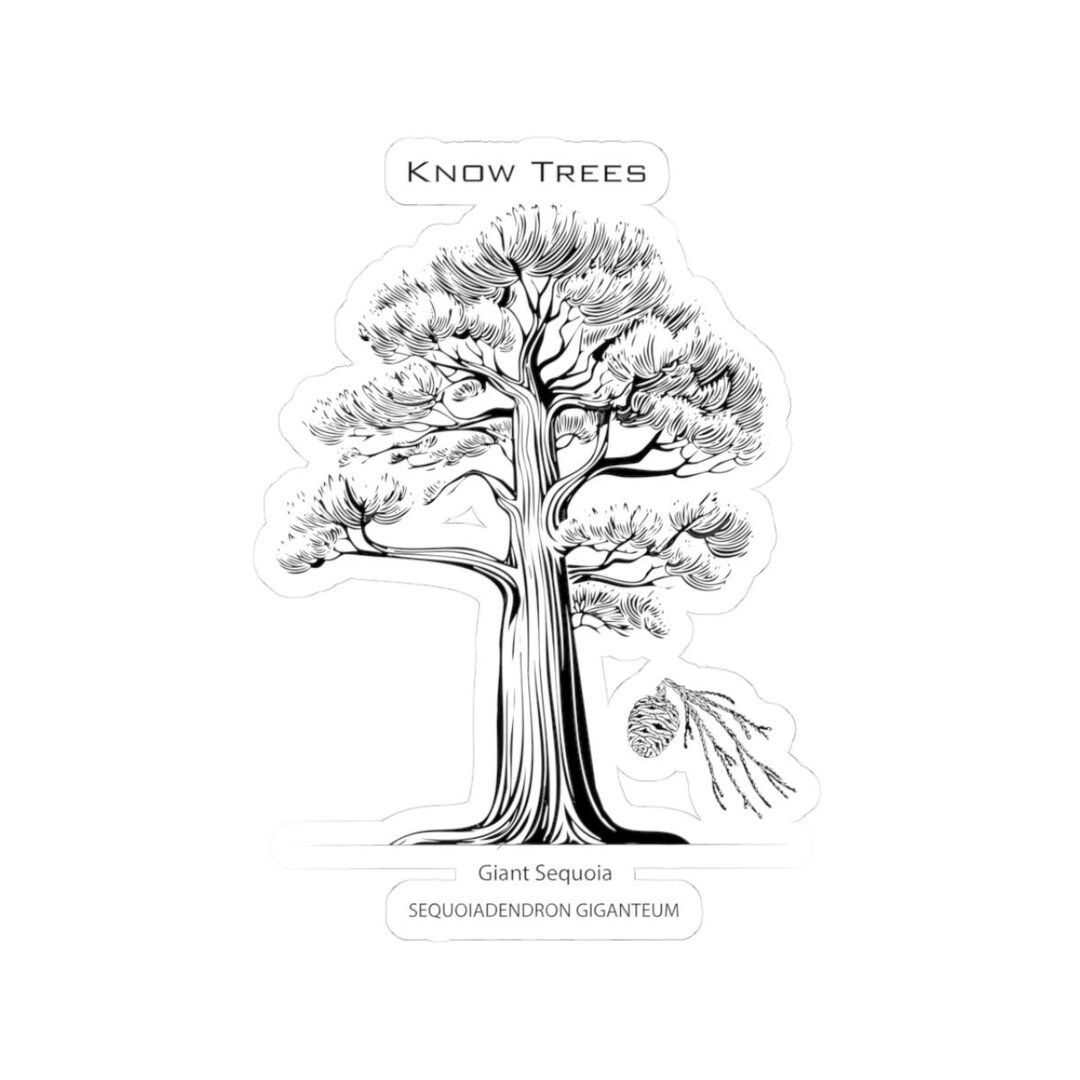 Giant Sequoia Tree From Know Trees Kiss-cut Stickers - Etsy