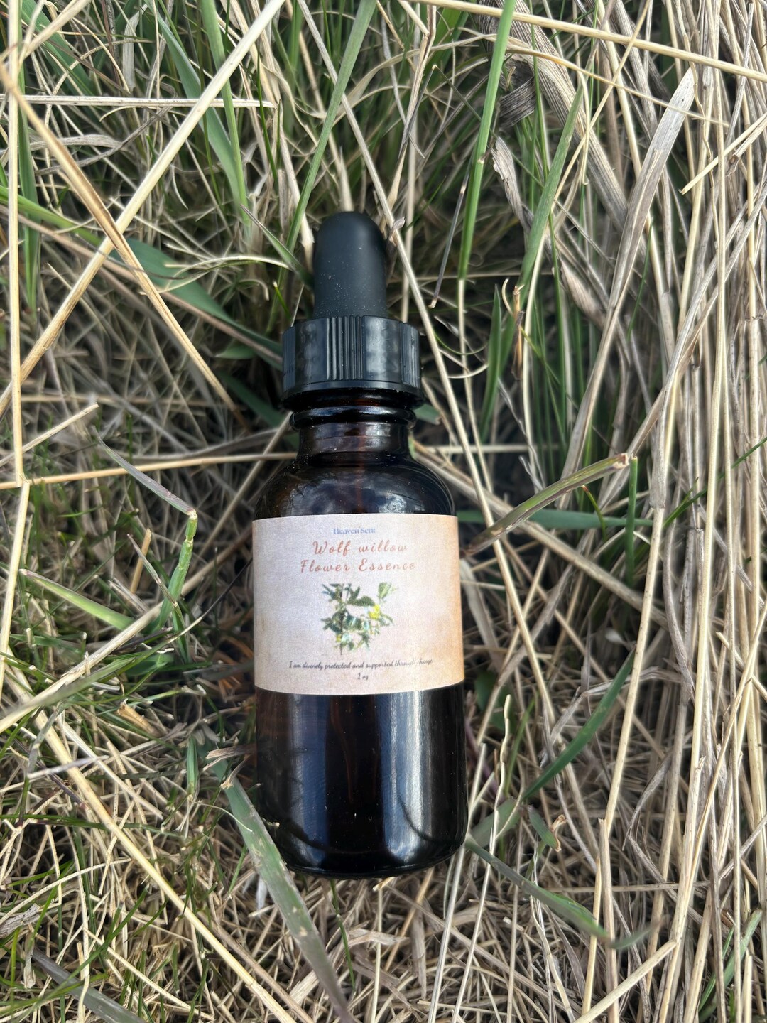 Wolf Willow Flower Essence - Etsy