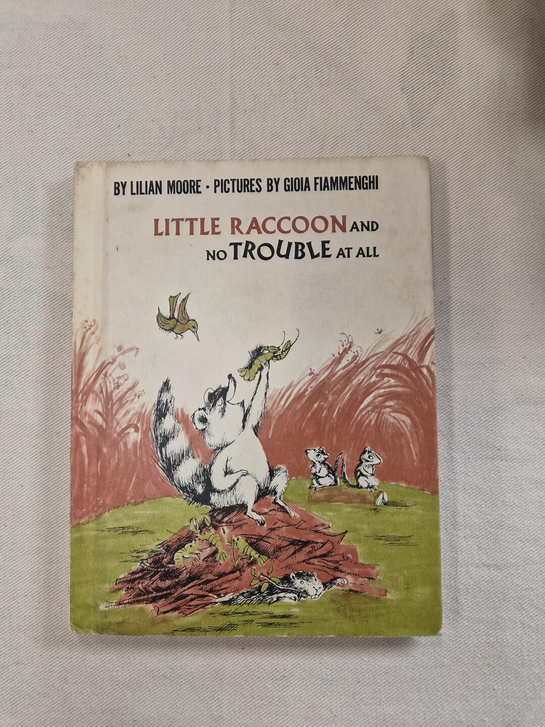 Vintage Little Raccoon Book – 1960s Weekly Reader Hardcover - Etsy