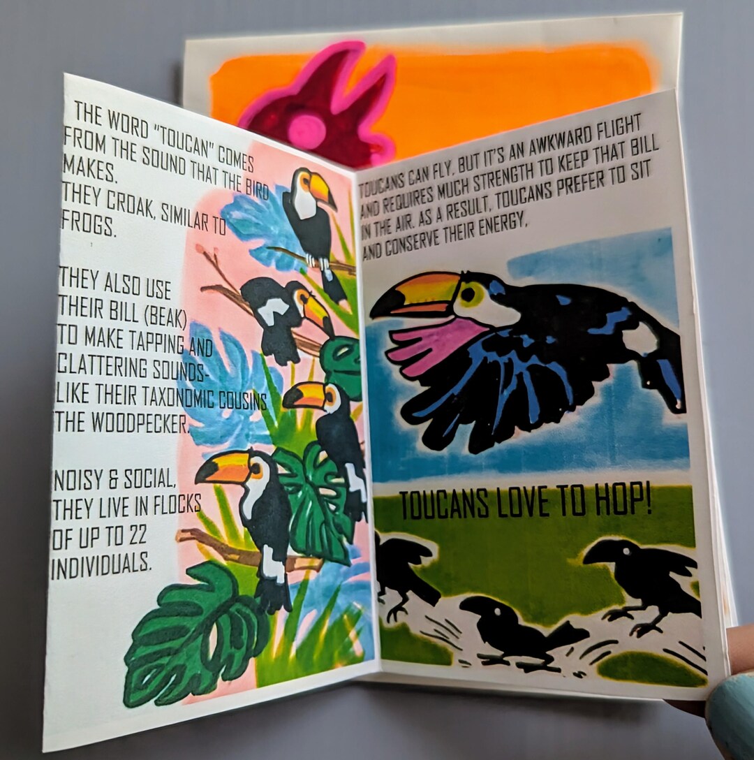 Toucan Zine Fun Pack - Etsy
