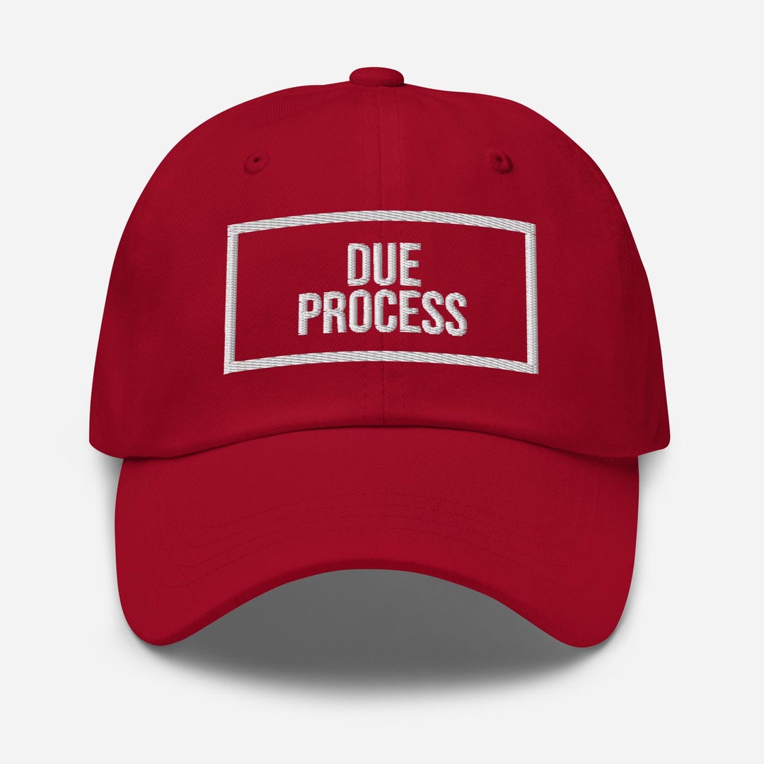 Due Process Hat Embroidered Civil Rights Cap Constitutional Protest ...