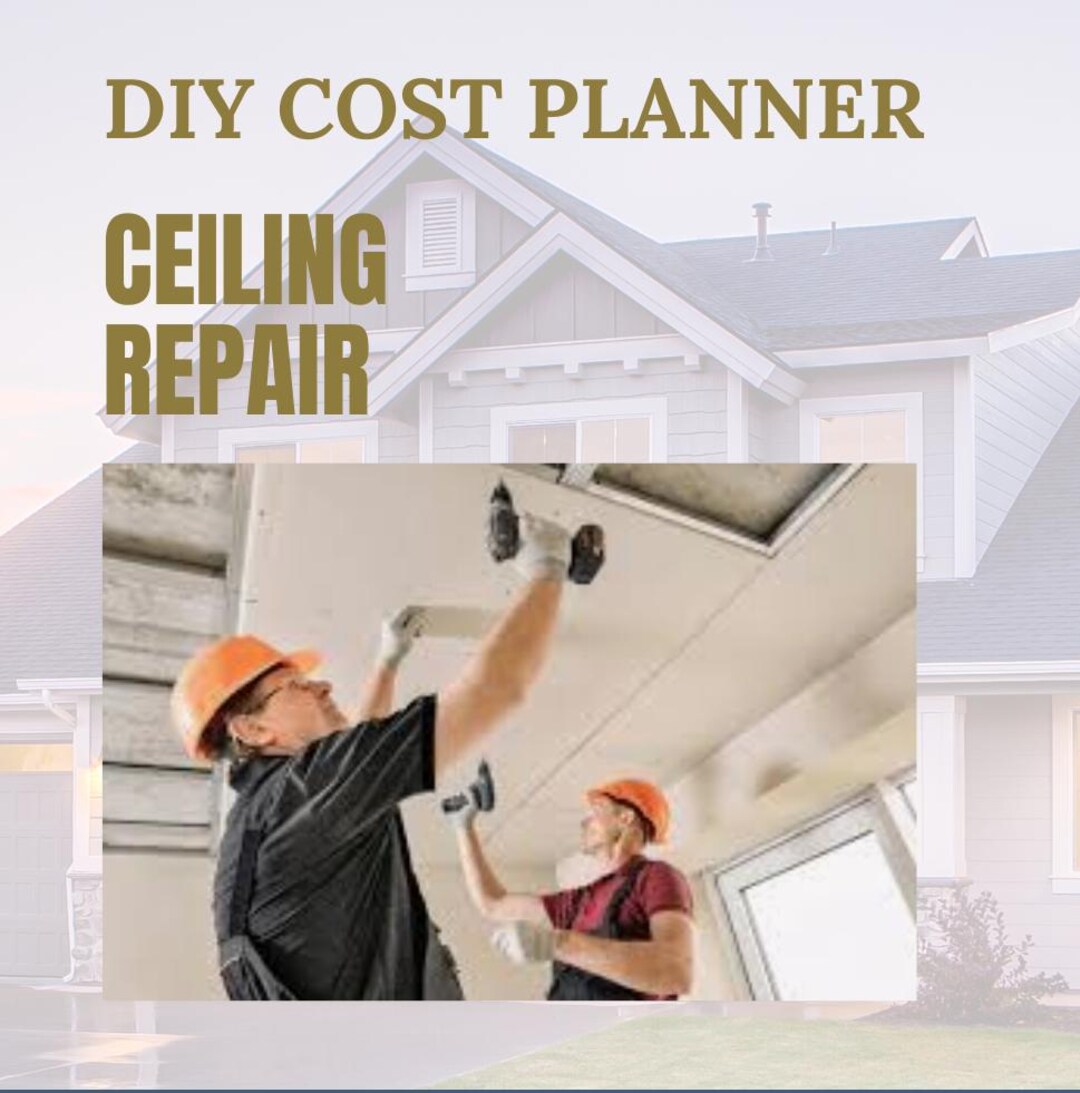 Ceiling Repair Cost Breakdown Template for Home Renovations, Excel Spreadsheet for Ceiling DIY ...