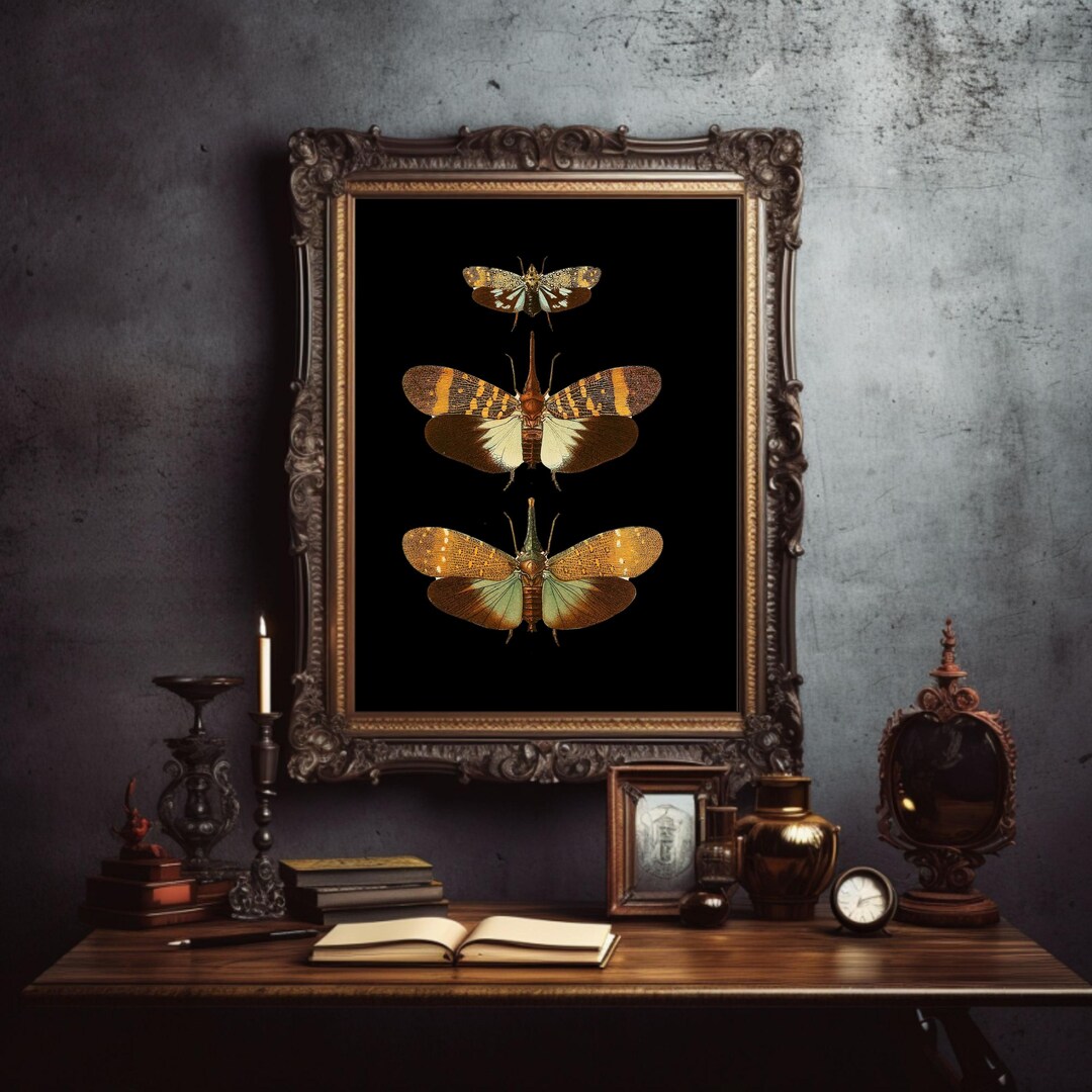 Moody Moths Art Print, Dark Academia, Victorian Wall Art, Antique ...