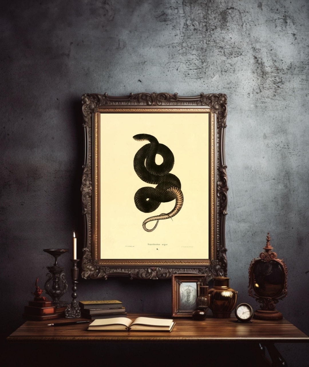 Antique Black Serpent Art Print, Snake Art, Tropidonotus Niger, Dark ...