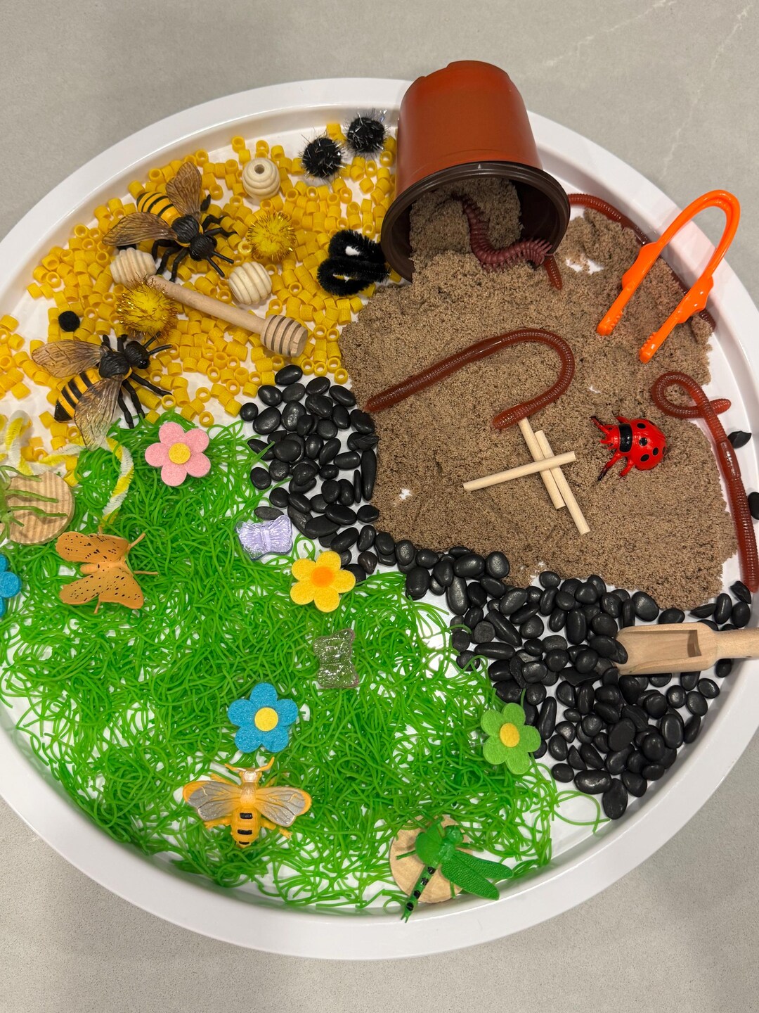 Insect Sensory Bin - Etsy