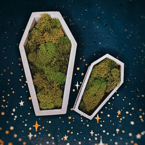 Mini Coffin Planter Kits - Etsy
