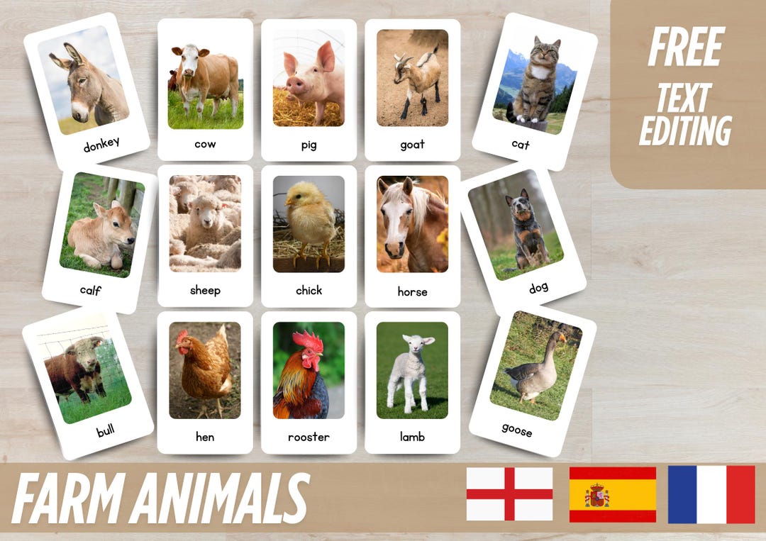 Farm Animals Flashcards, Toddler Flash Cards, Printable Montessori ...