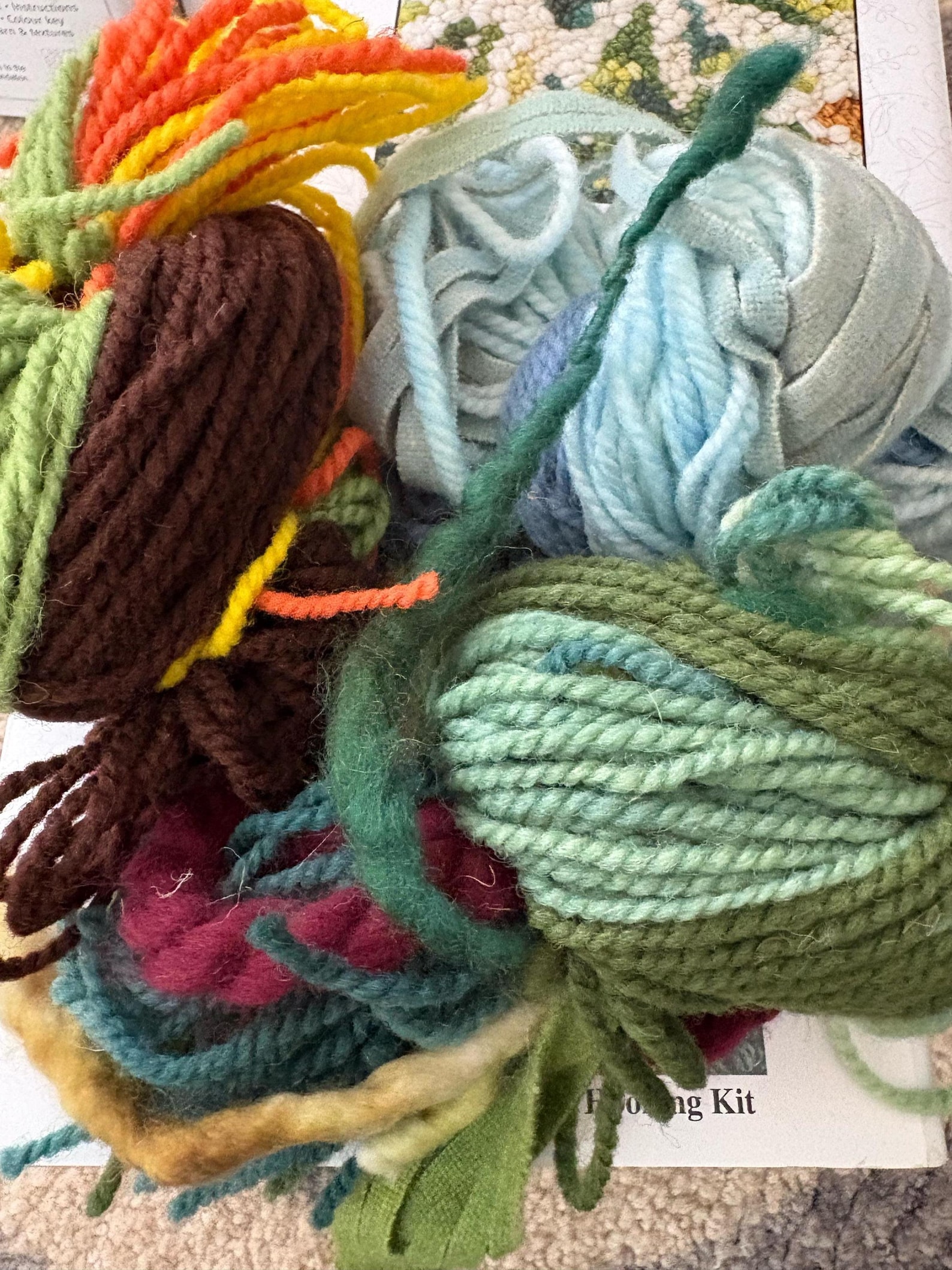 DEANNE FITZPATRICK! Rug Hooking Complete Boxed Kit: Hook, Hand Drawn ...