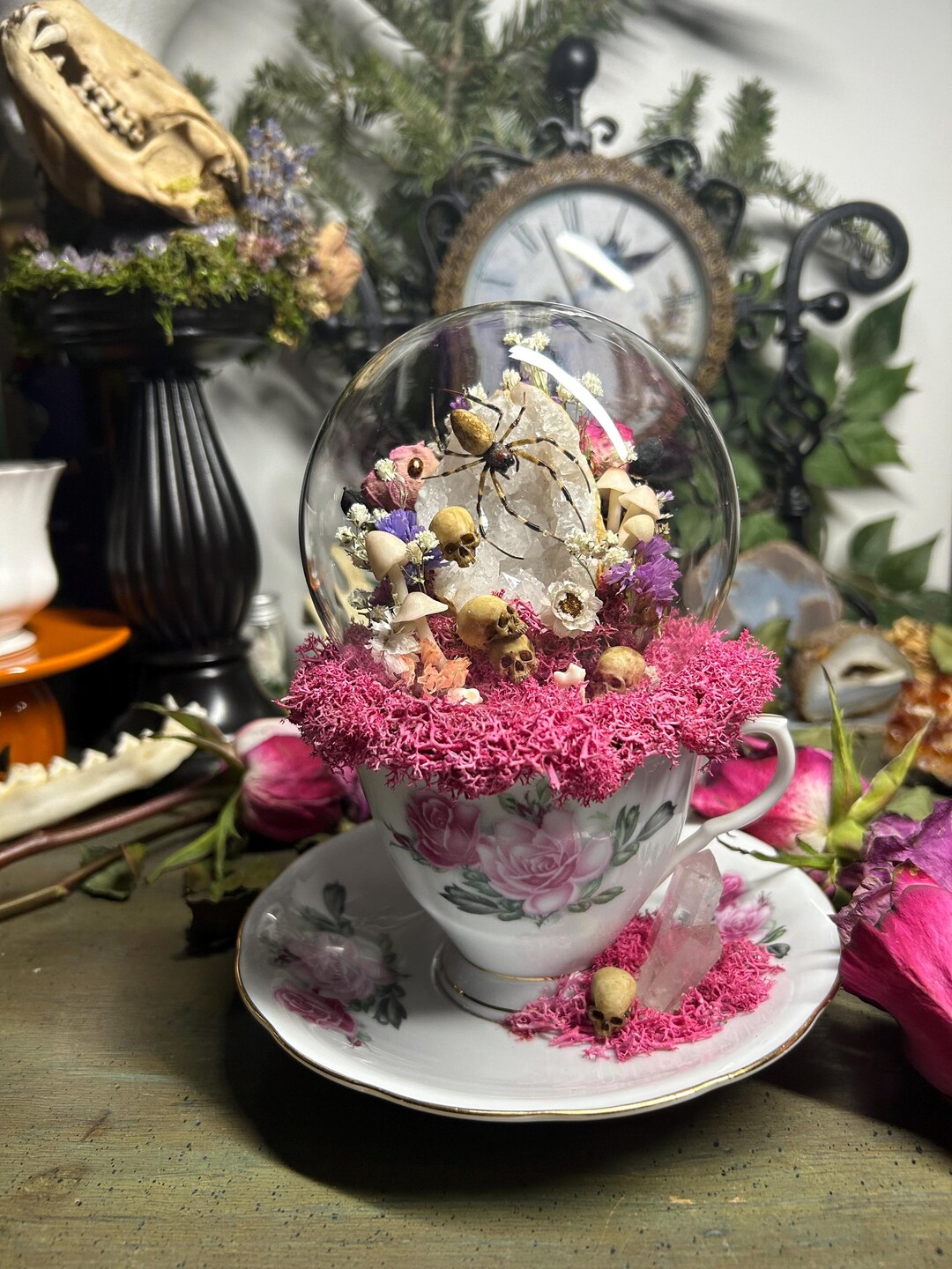 Unique Gothic Teacup Decor: Spider Glass Dome Display With Quartz ...