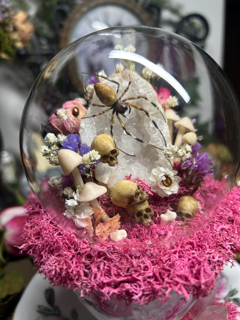 Unique Gothic Teacup Decor: Spider Glass Dome Display With Quartz ...