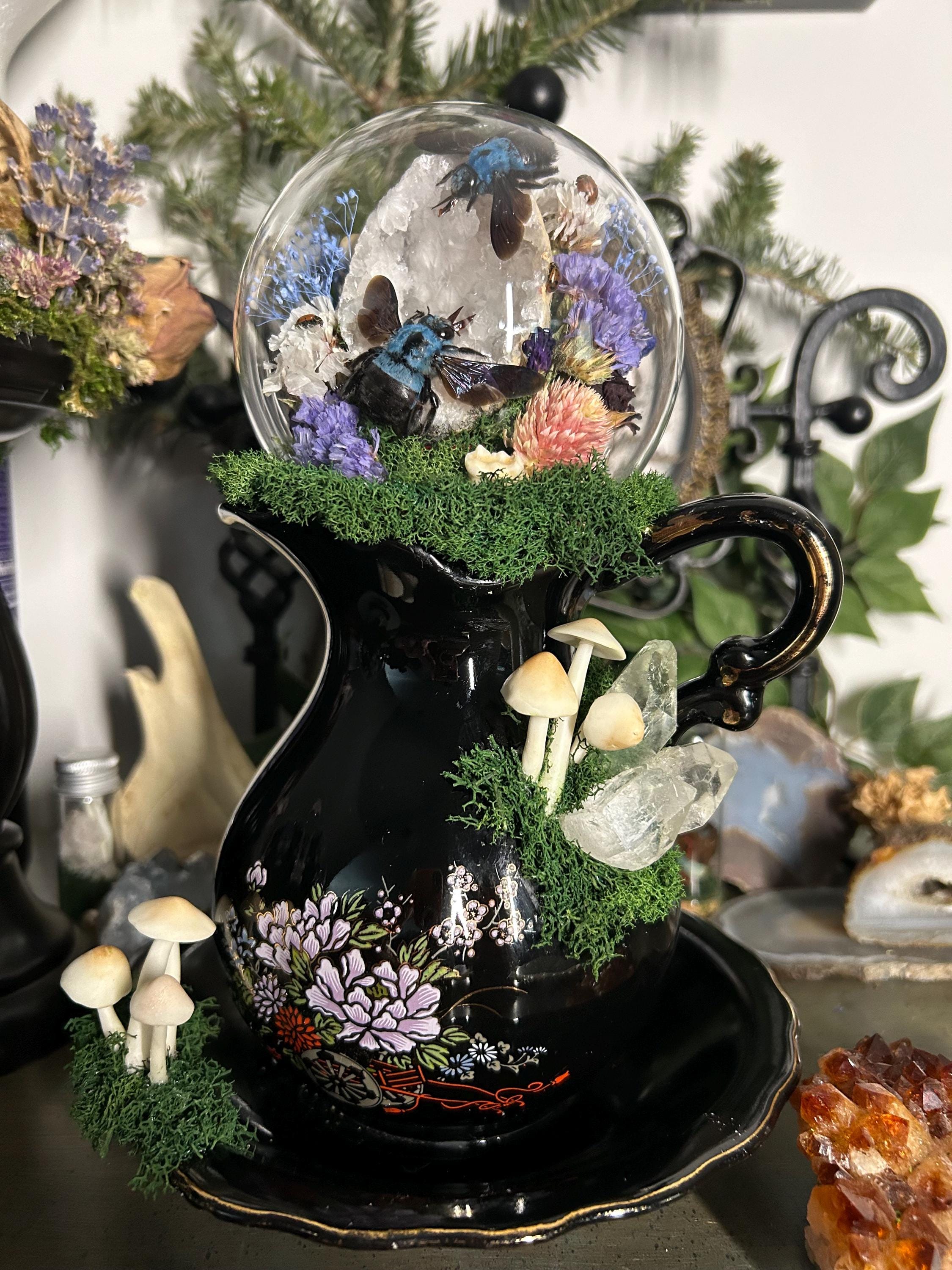 Whimsical Porcelain Pitcher Display With Glass Dome - Curiosities ...