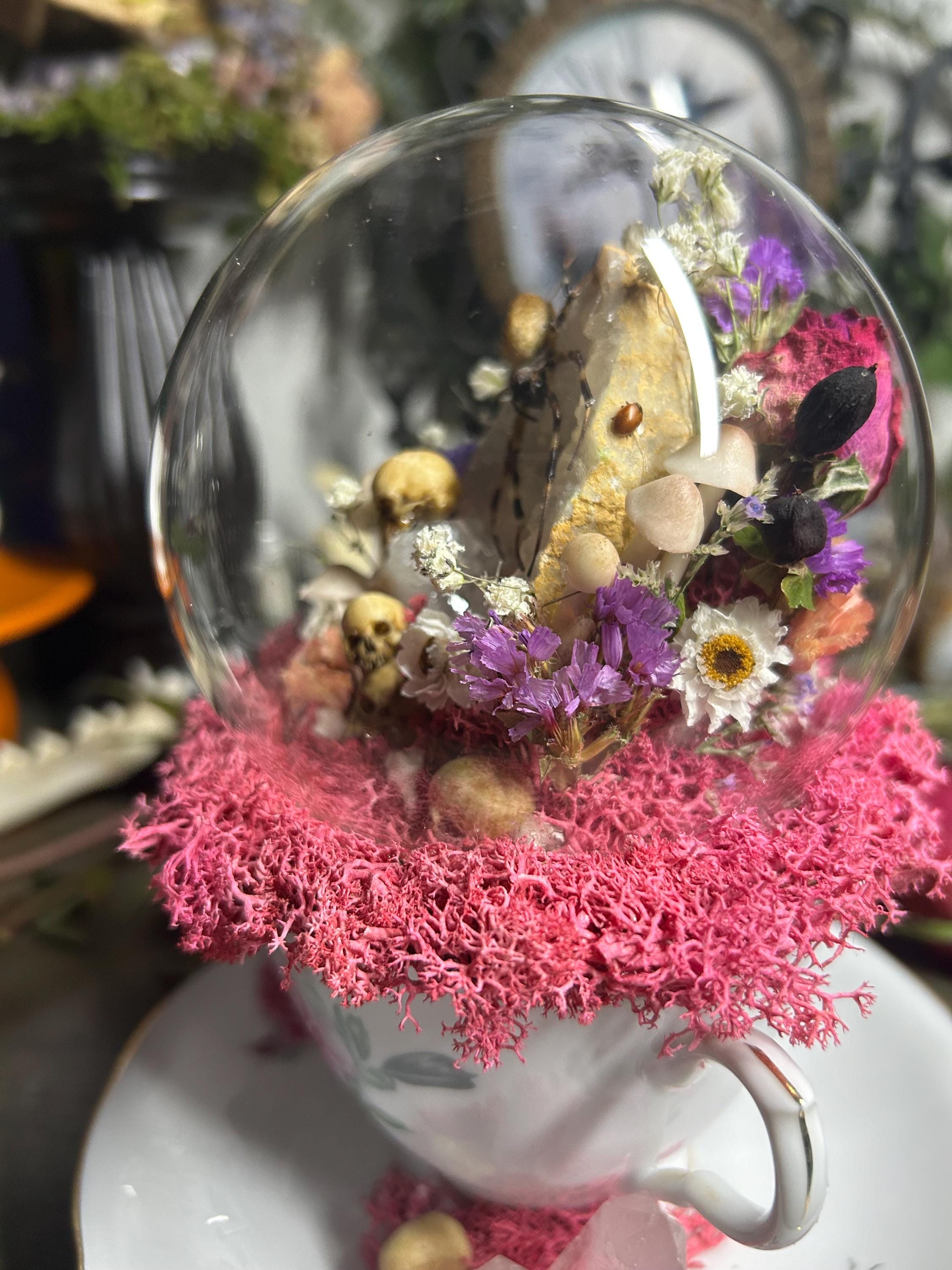 Unique Gothic Teacup Decor: Spider Glass Dome Display With Quartz ...