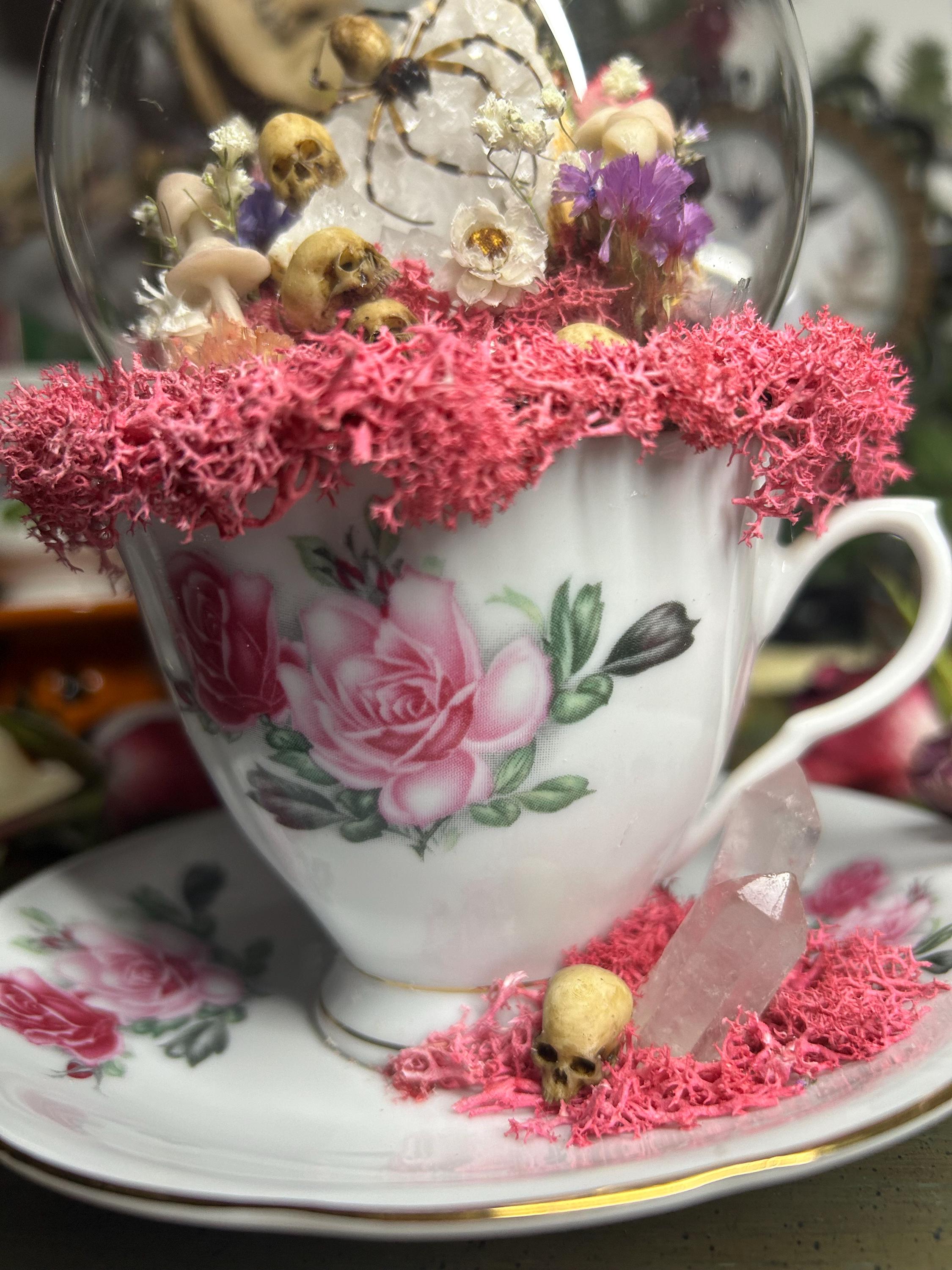 Unique Gothic Teacup Decor: Spider Glass Dome Display With Quartz ...