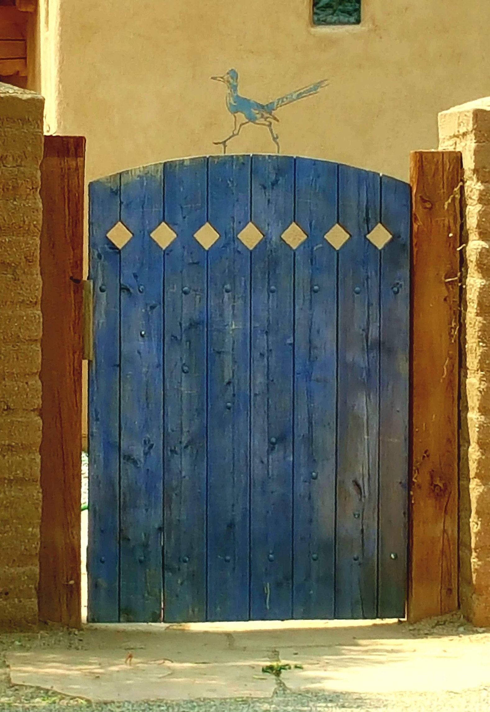 Roadrunner on a Blue Gate Southwest Art Original Photograph 5 X 7 ...