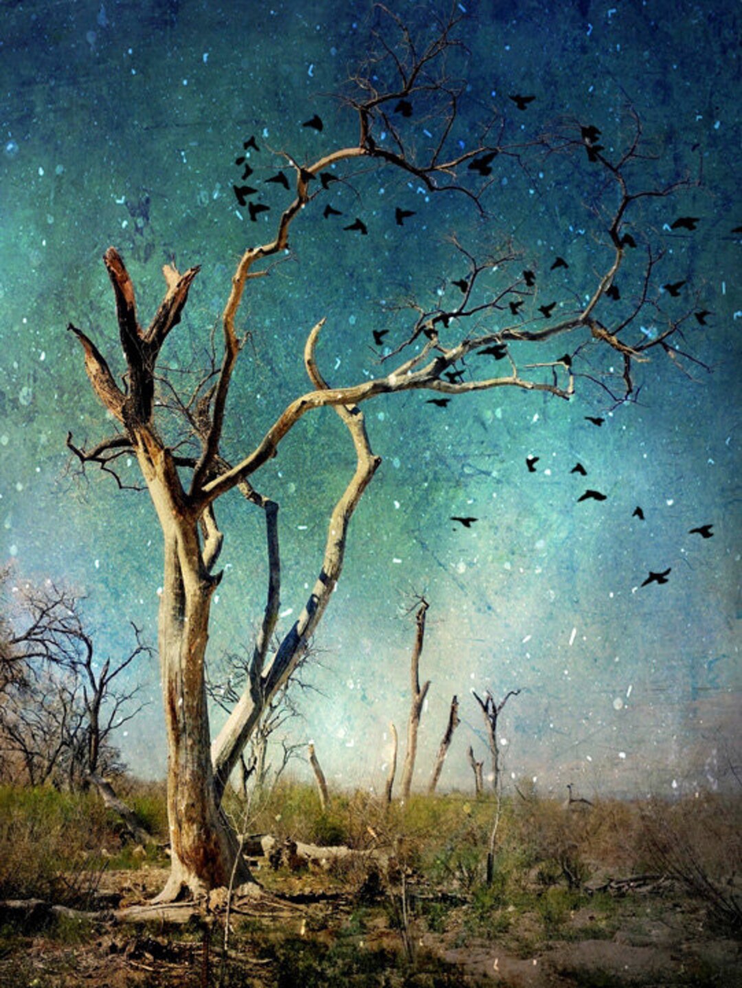 Night Tree Landscape Photography 5 X 7 Matted Moody Tree Photograph ...