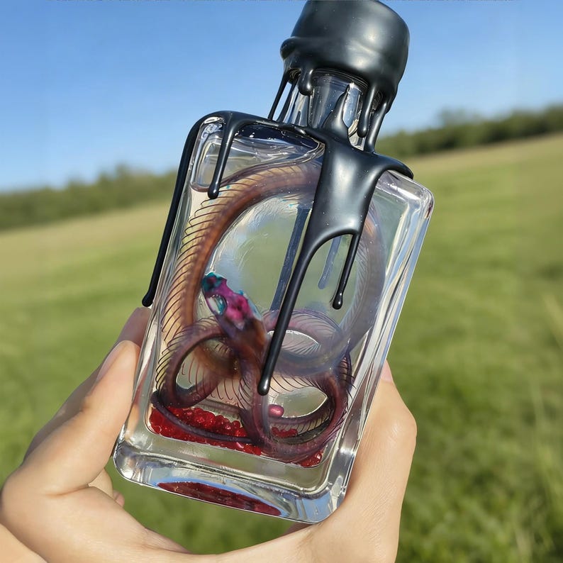 Real Snake Taxidermy Specimen – Fully Sterilized & Bleached, Clean ...