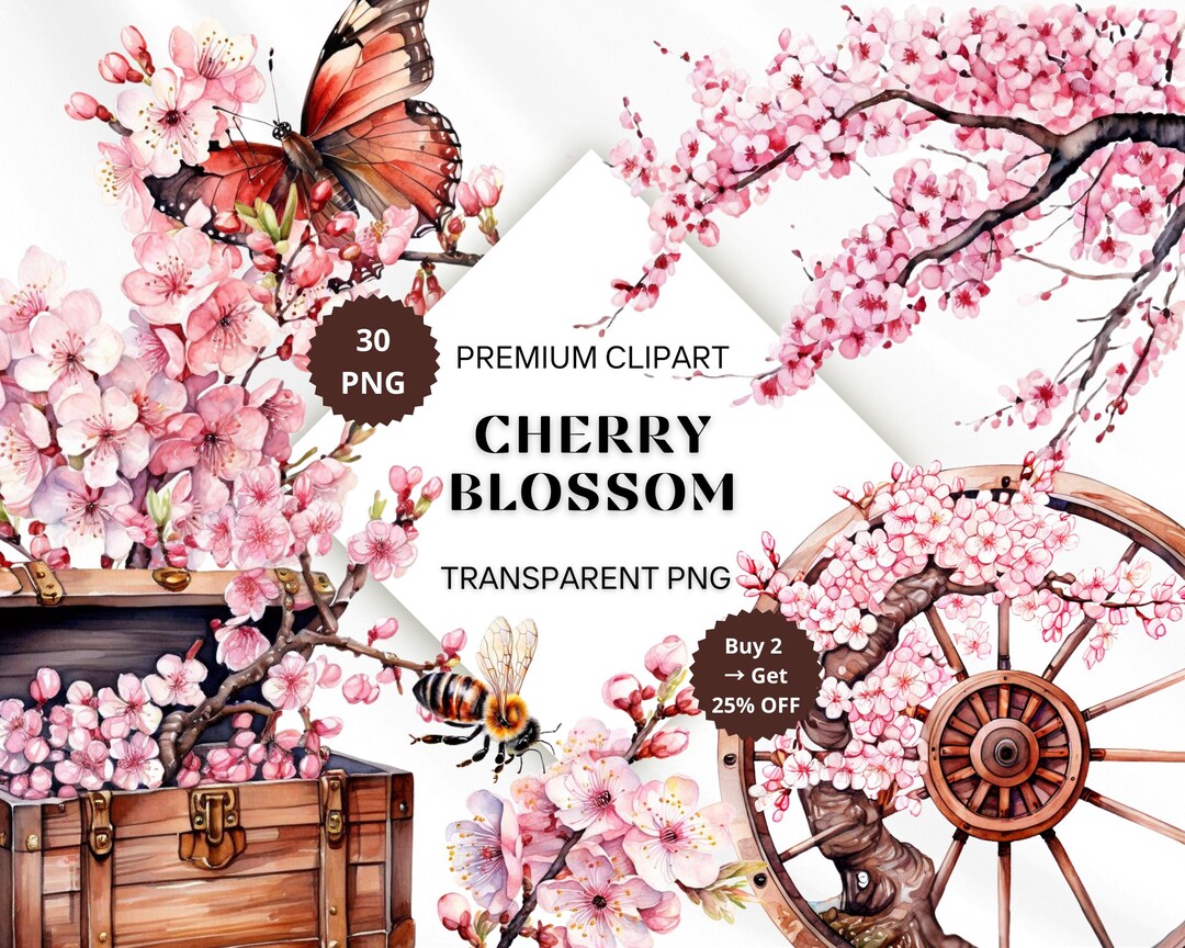 Cherry Blossom Clipart PNG Watercolor Sakura Botanical Spring Wedding ...