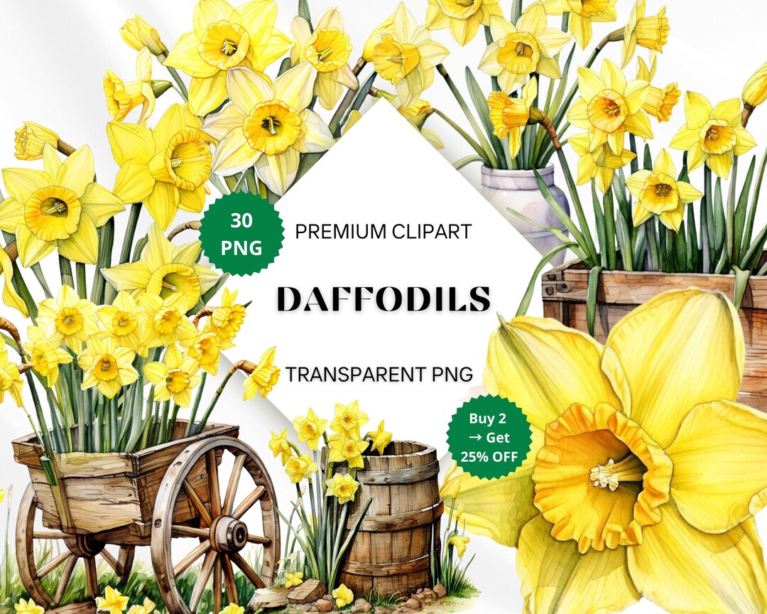 Daffodil Clipart PNG Watercolor Yellow Spring Botanical Wedding Flowers ...