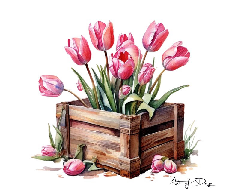 Pink Tulips Clipart Set, Transparent Background, Floral Elements ...