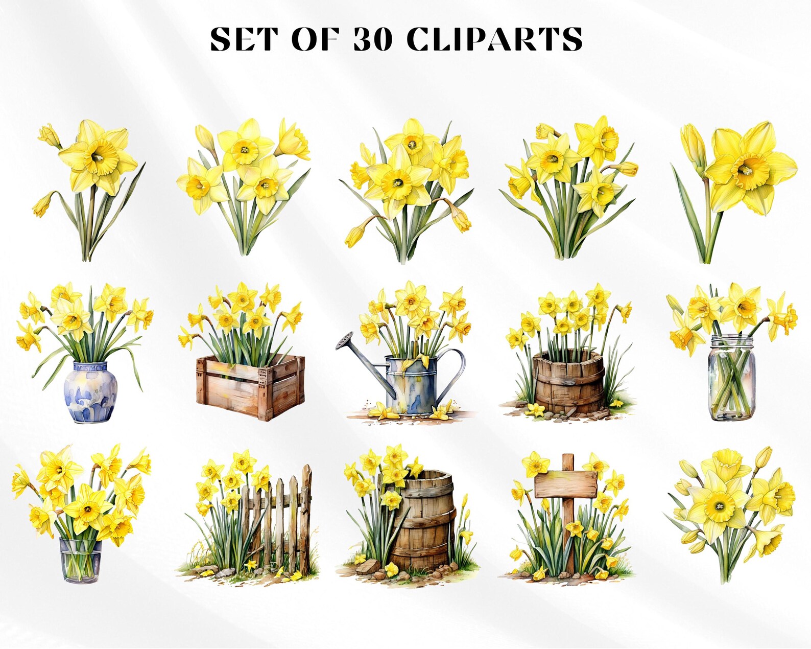 Daffodil Clipart PNG Watercolor Yellow Spring Botanical Wedding Flowers ...