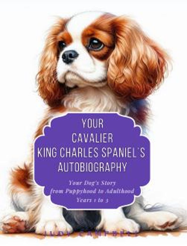 Calling All Cavalier King Charles Spaniel Owners! Capture Memories With ...