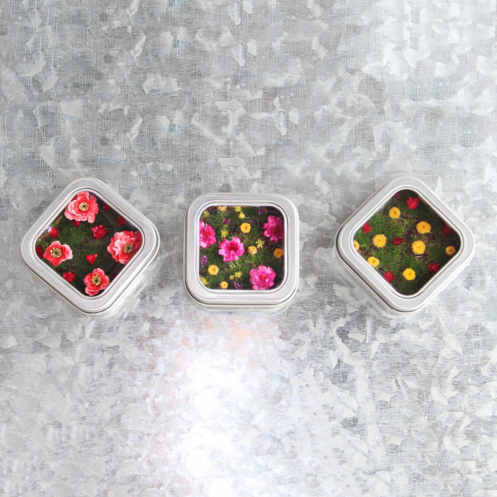 Flower Magnet, Fridge Magnet, Nature Magnet, Nature Art, Kitchen Garden ...