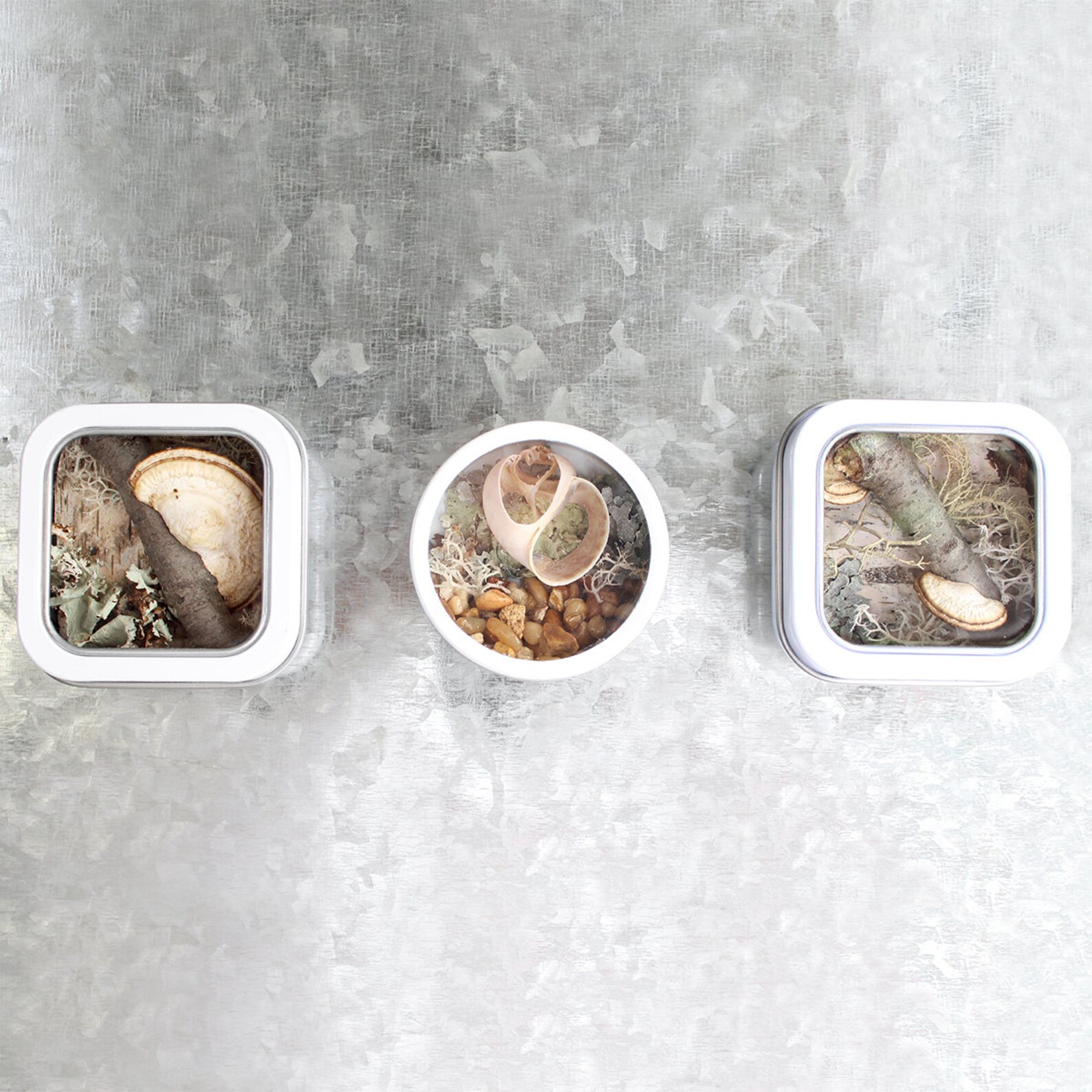 Nautical Kitchen Art, Kitchen Magnet, Nature Magnet, Natural Kitchen ...