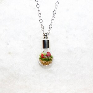 Moss Terrarium, Terrarium Pendant Necklace, Mini Terrarium Necklace ...