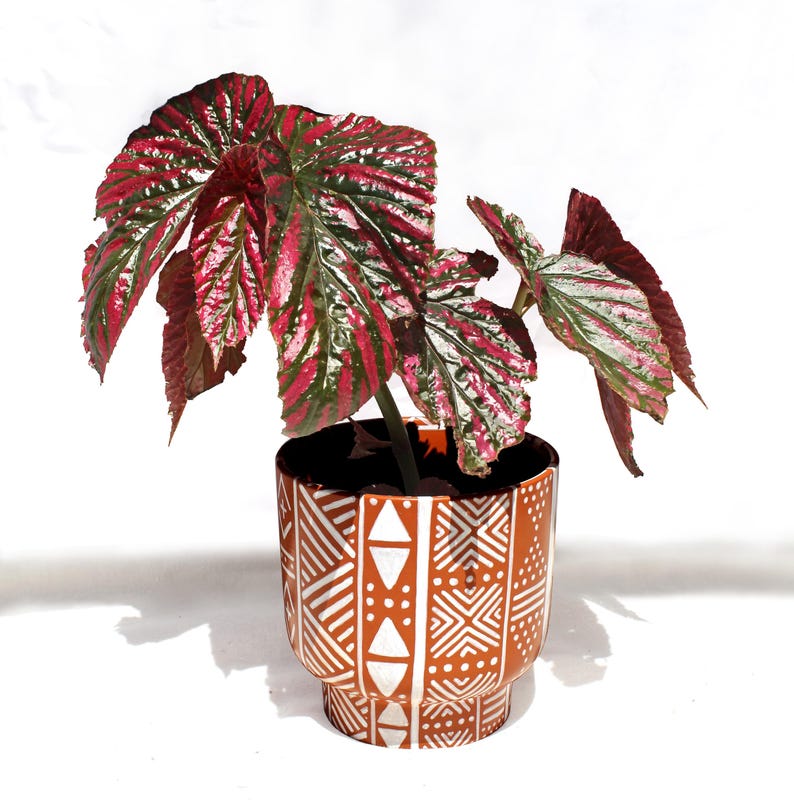 6-inch African Print Terracotta Plant Pot - Bogolanfini Planter - Etsy