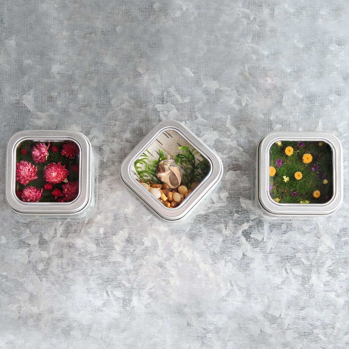 Nautical Kitchen Art, Kitchen Magnet, Nature Magnet, Natural Kitchen ...