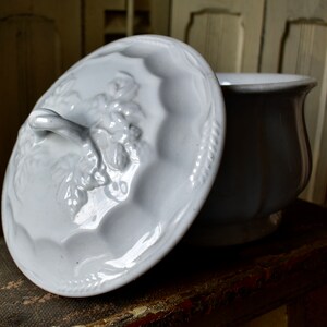 Antique JACOB FURNIVAL Stoke-on-trent J.F. IRONSTONE White Ironstone ...