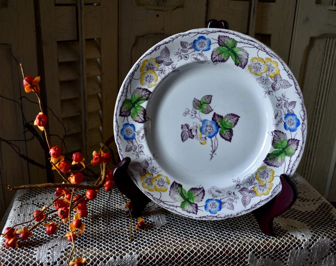 Antique Transferware Plate: Francis Morley & Co. China- Blossom Pattern ...