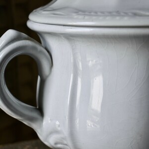 Antique JACOB FURNIVAL Stoke-on-trent J.F. IRONSTONE White Ironstone ...