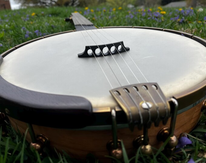 Banjo, Toy Banjo, Baby Banjo, Plush Banjo, Felt Banjo, Stuffed Banjo ...
