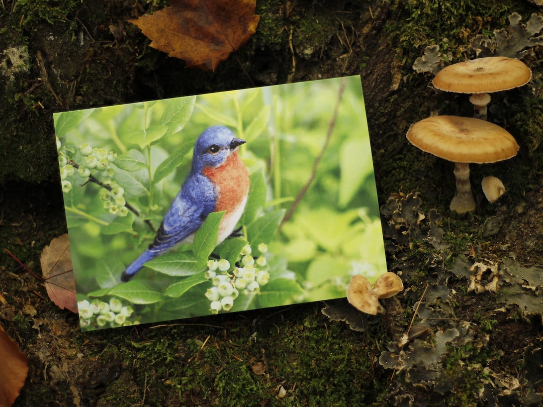 Bluebird in the Blueberries Greeting Card , Needle Felted Backyard Bird ...