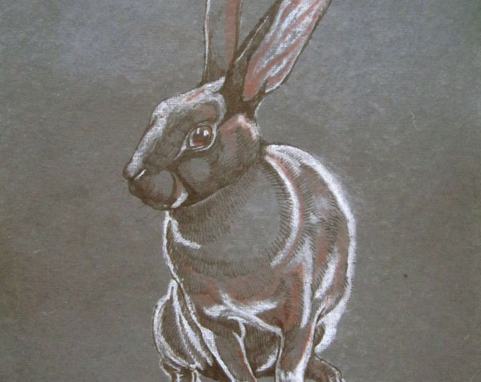 Rabbit Sketch -white Chalk and Brown Ink - Etsy