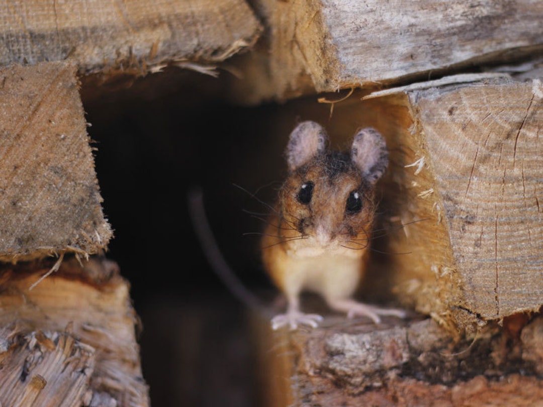 Needle Felted Field Mouse, Made to Order, Woodland Animal - Etsy