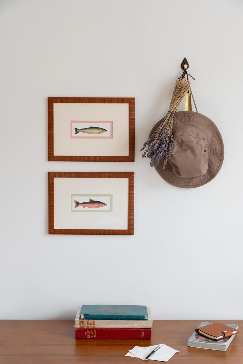 The Big Catch! These Antique Prints of Fish Have Been Carefully ...