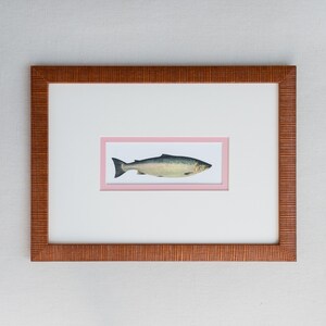 The Big Catch! These Antique Prints of Fish Have Been Carefully ...