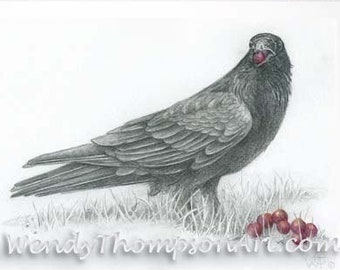 Grapeater Ravens Note Cards Original Design Corvid Art - Etsy