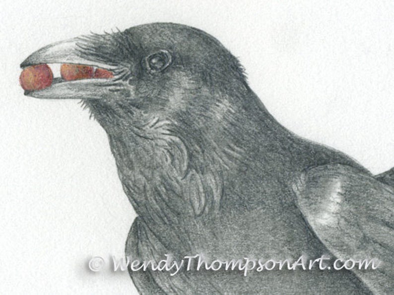 Grapeater Ravens Note Cards - Original Design Corvid Art, Raven ...