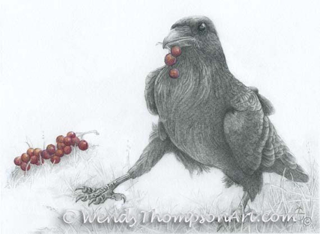 Grapeater Ravens Art Note Cards - Original Design Corvid Art, Raven ...