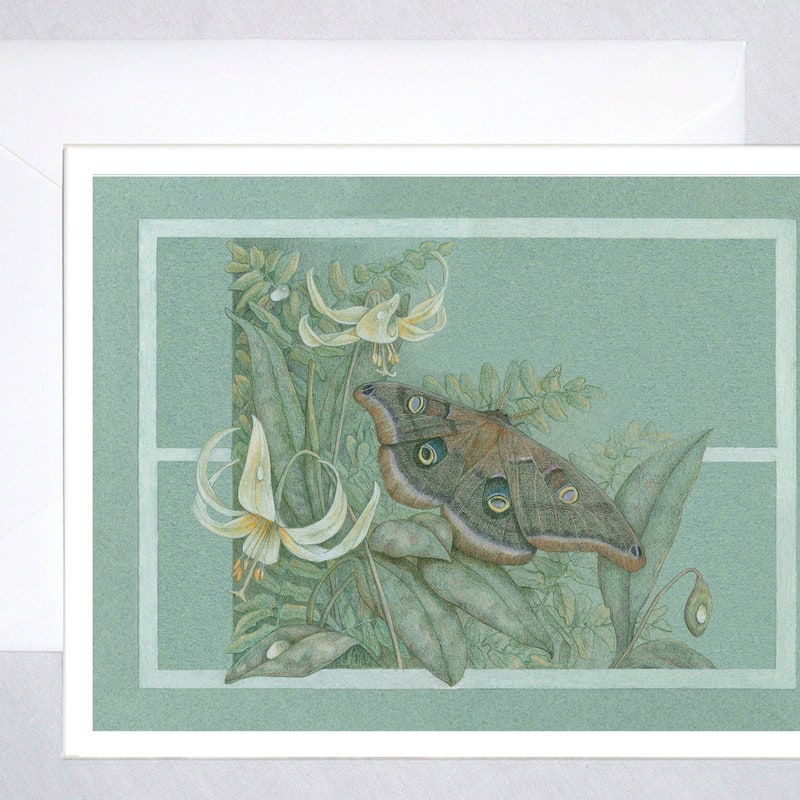 Fern Lily Cards - Etsy